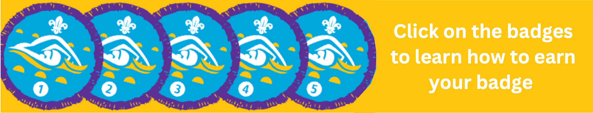 Swimming News – Sheaf and Norfolk Scouts